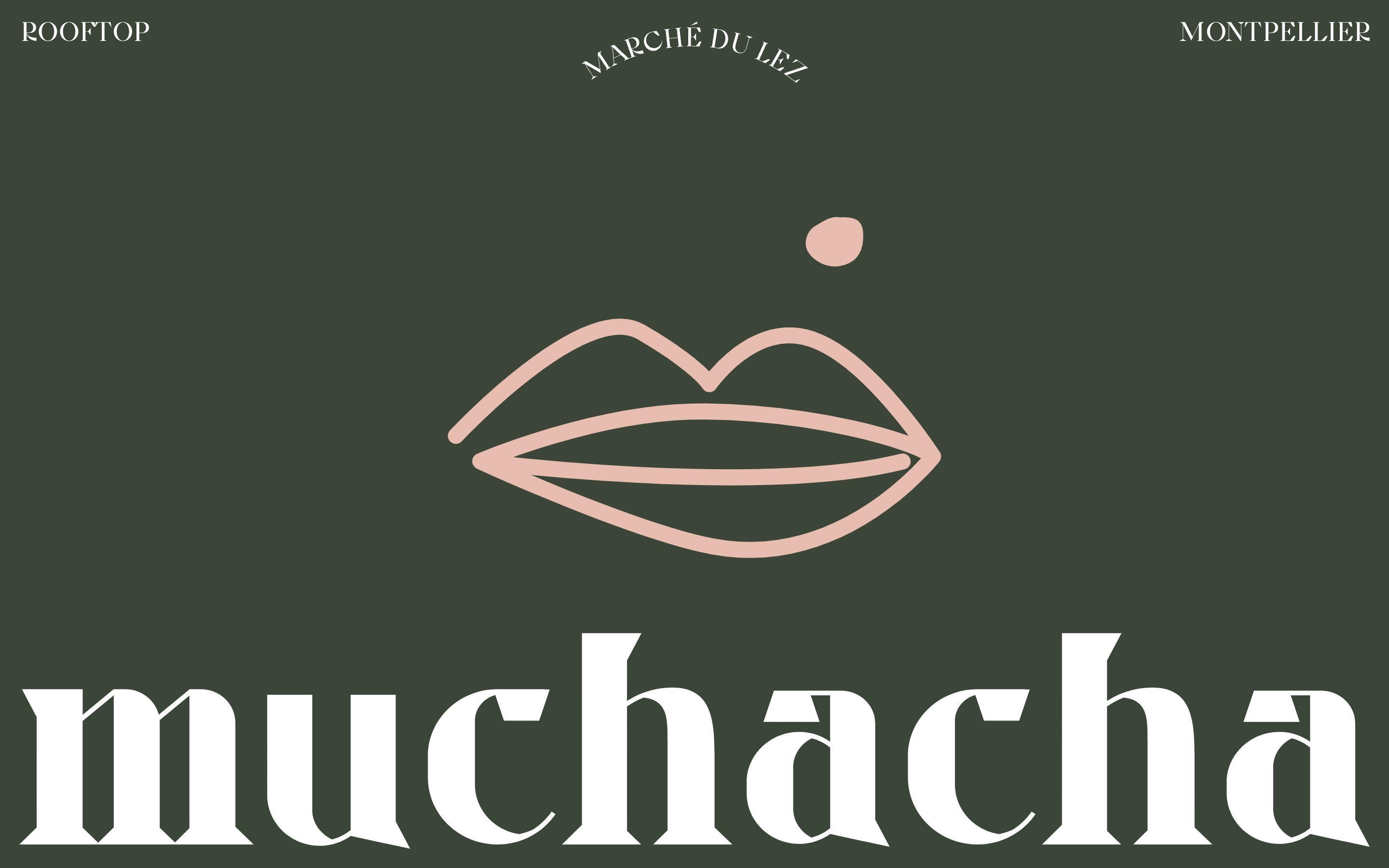 Cako Font Pairings & Alternatives